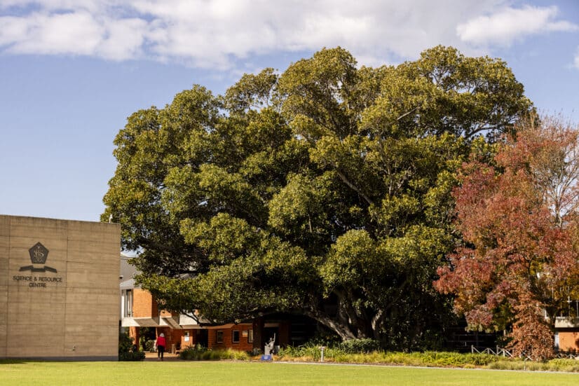 Enrolment Process | Lauriston Girls' School